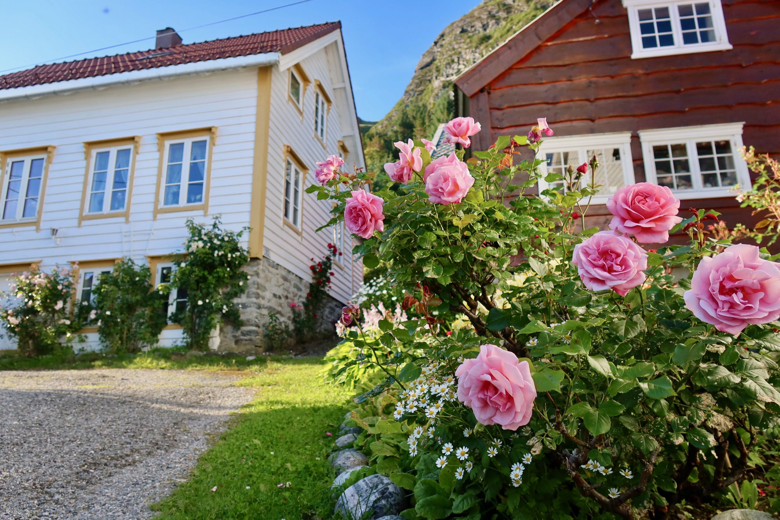 Explore Stad in Western Norway with Hoddevik Beach & West Cape